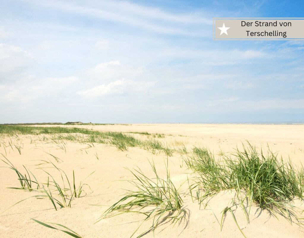Familienurlaub in Holland am Strand - Ein Überblick mit 25 Tipps! - 2026