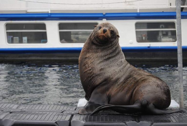 Rostock und Warnemünde mit Kindern: Die besten Ausflugstipps bei jedem ...